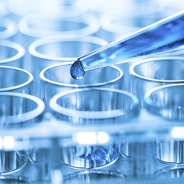 Academics & Research