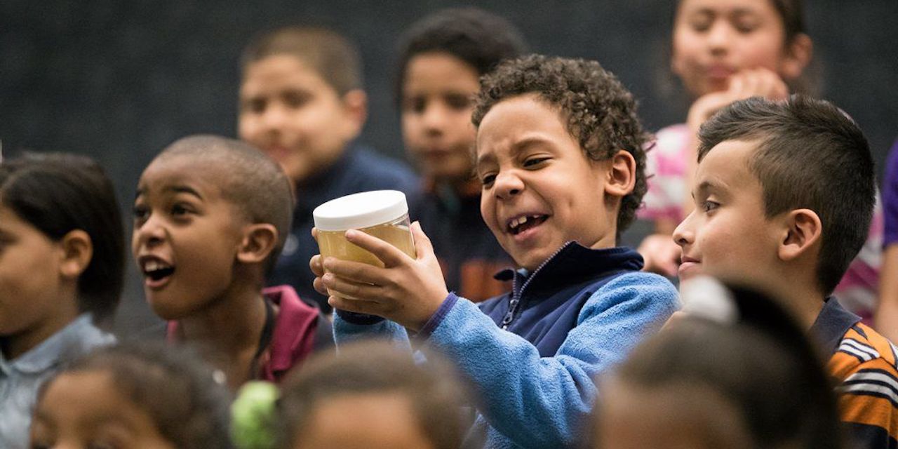 Schools and Homes in Education (SHINE) | Wilkes University